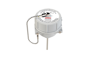 Flexible RTD Sensor R100/RTD | Heat Trace